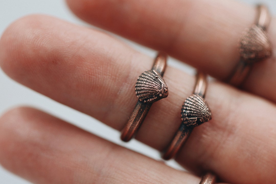 East Coast Shell Ring Florida Collection - Etsy