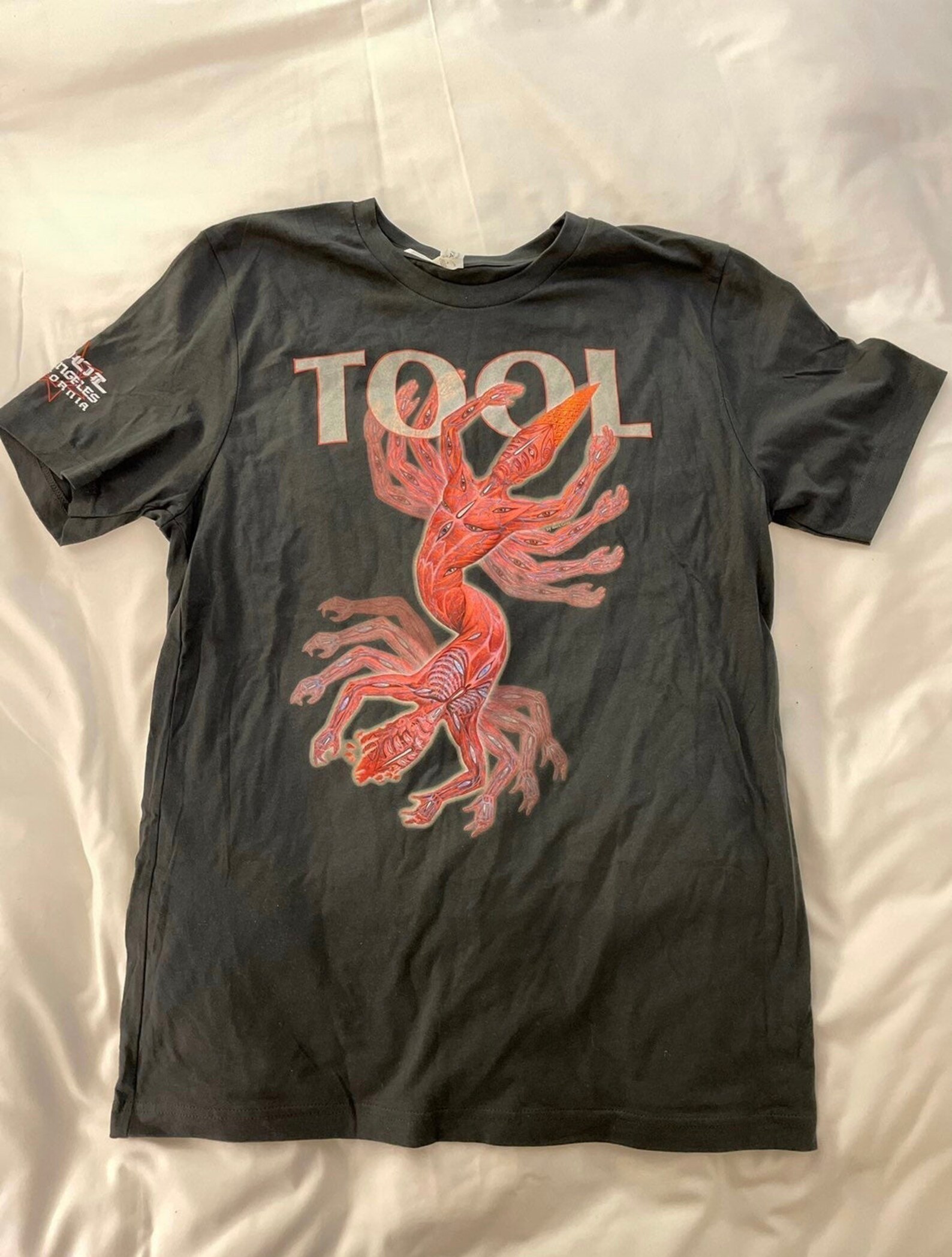 Tool Shirt Philadelphia 2022 Fear Inoculum Tour Great Turn - Etsy