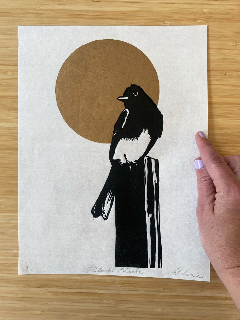 Black Phoebe Lino Cut Print Bird Art Linoart Limited - Etsy