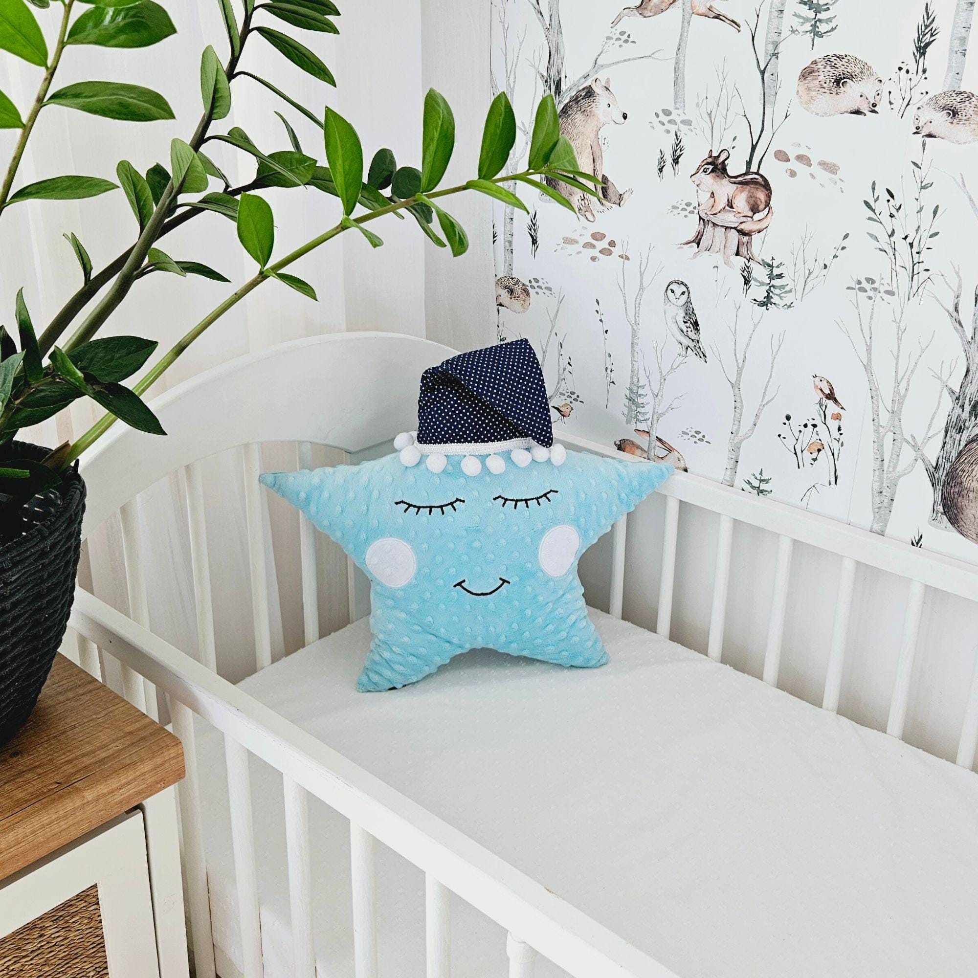 Giant Star Plush, Star Plushies, Accent Pillows With Blue, Space Themed ...