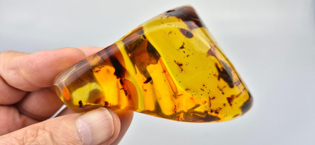 Large Baltic Amber Stone: Insects Inclusion, Raw Gemstone for ...