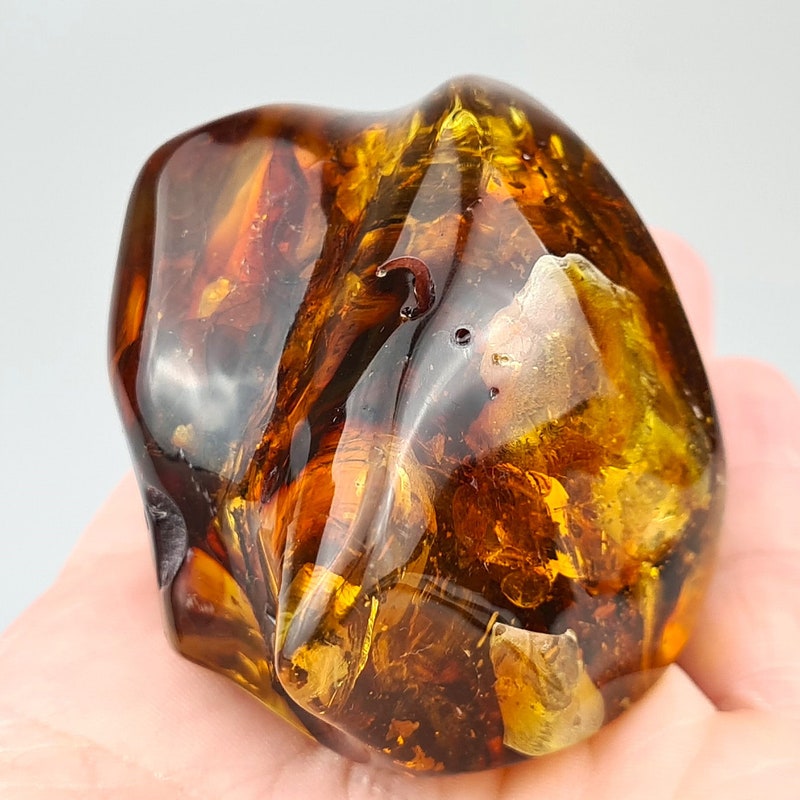 Amber Stone With Insect - Etsy