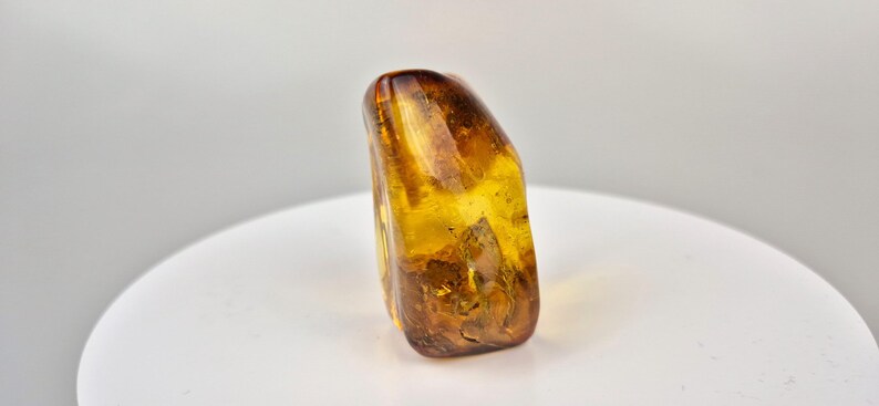 Raw Baltic Amber Stone With Insect: Collectible Gemstone Decor - Etsy