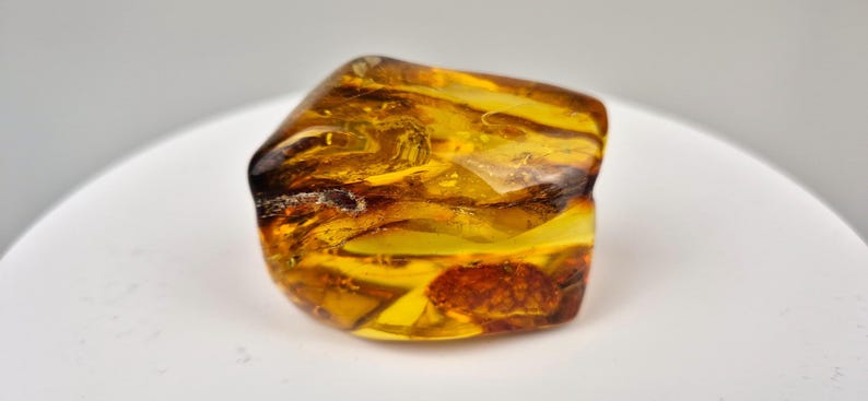 Raw Baltic Amber Stone With Insect: Collectible Gemstone Decor - Etsy