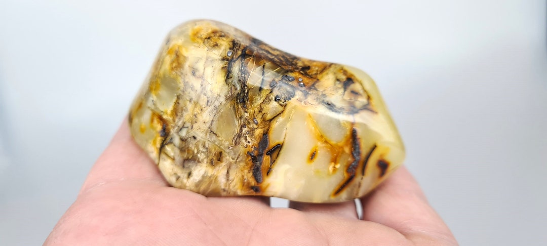 Amber Stone, Tree Inclusion in Amber, Fossiled Amber, Baltic Amber ...