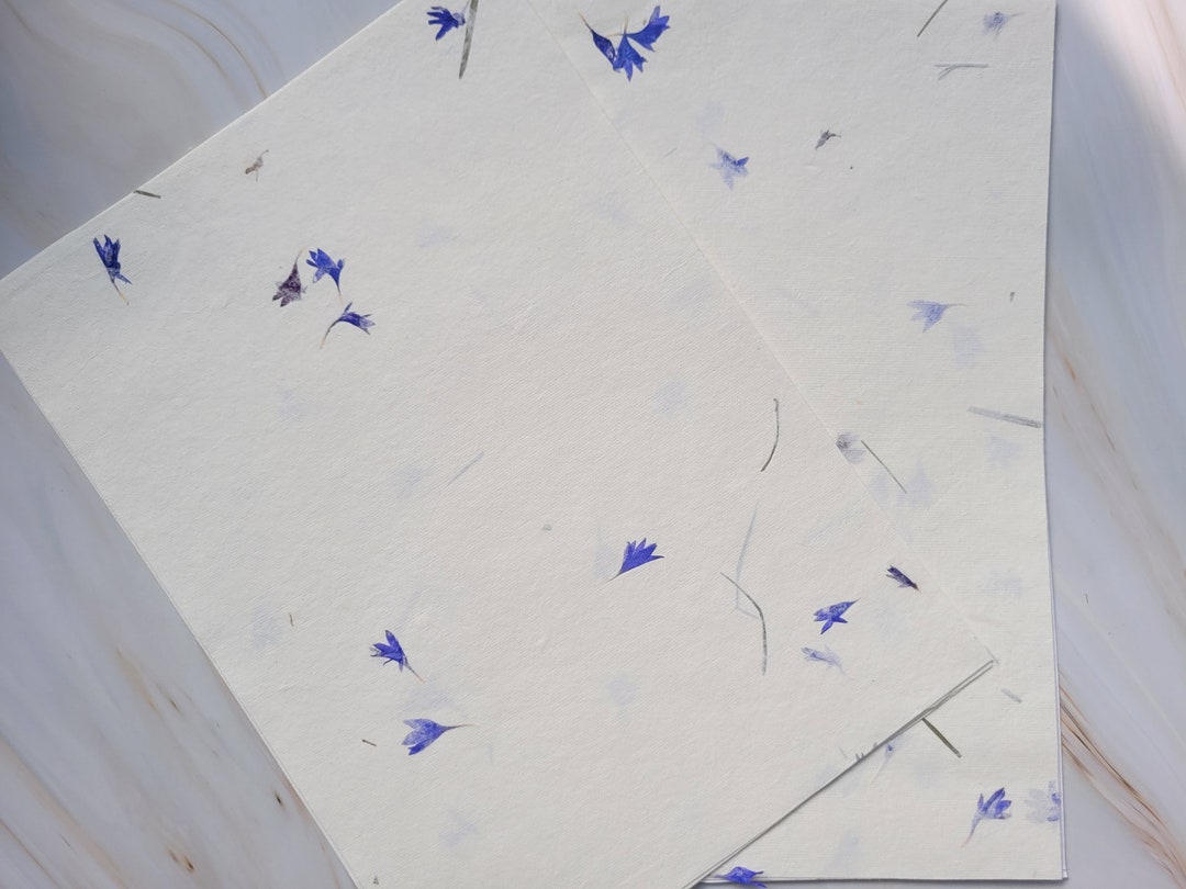 Blue Petal Handmade Beige Color Paper Card Stock 8.5" X 11" - A4 ...