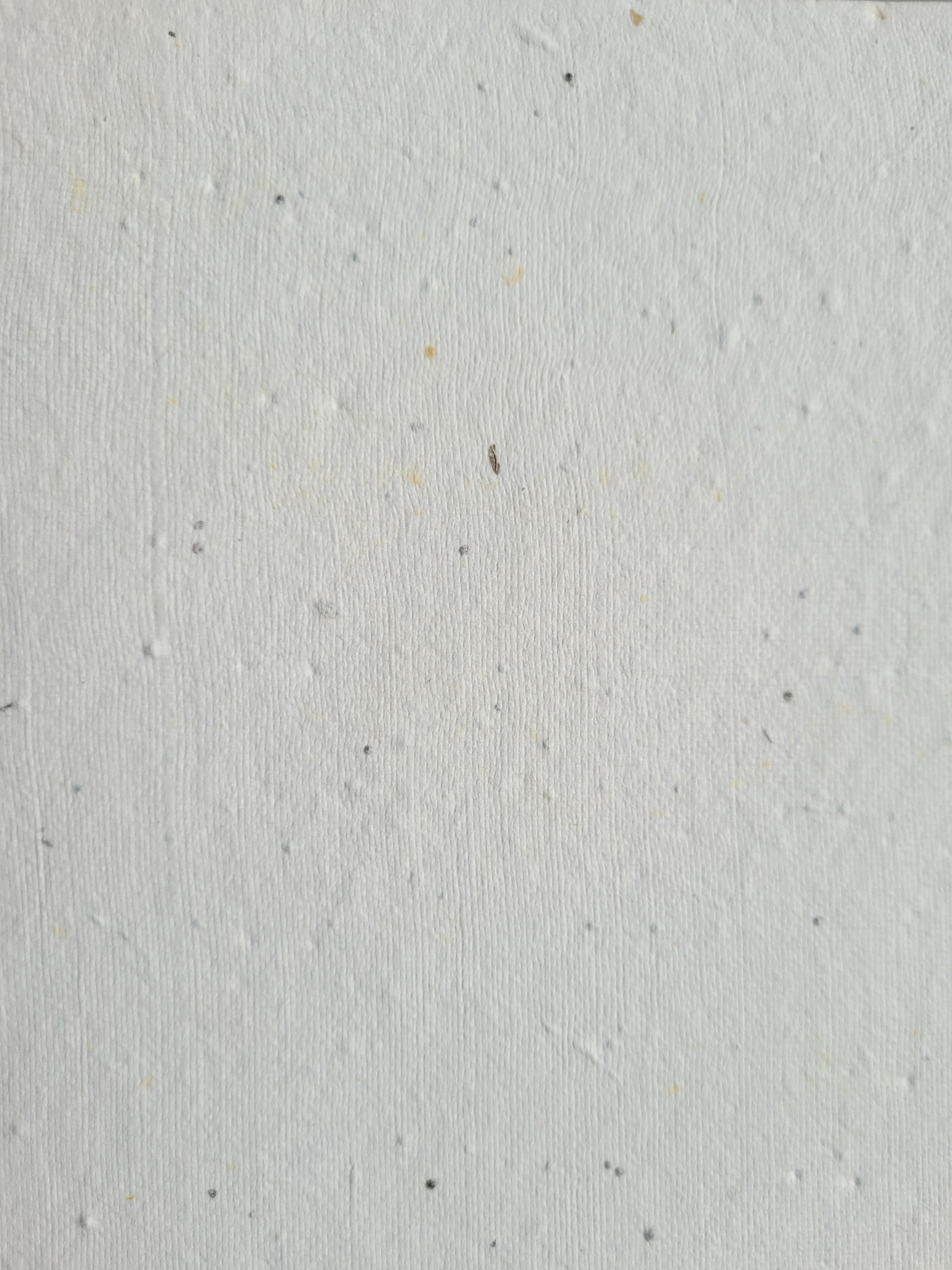 Printable A4 Seed Paper Printer Safe White Printable Seeded - Etsy ...