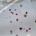 20" X 30" Red Rose Petal Handmade Paper Card Stock - A1 Himalayan ...