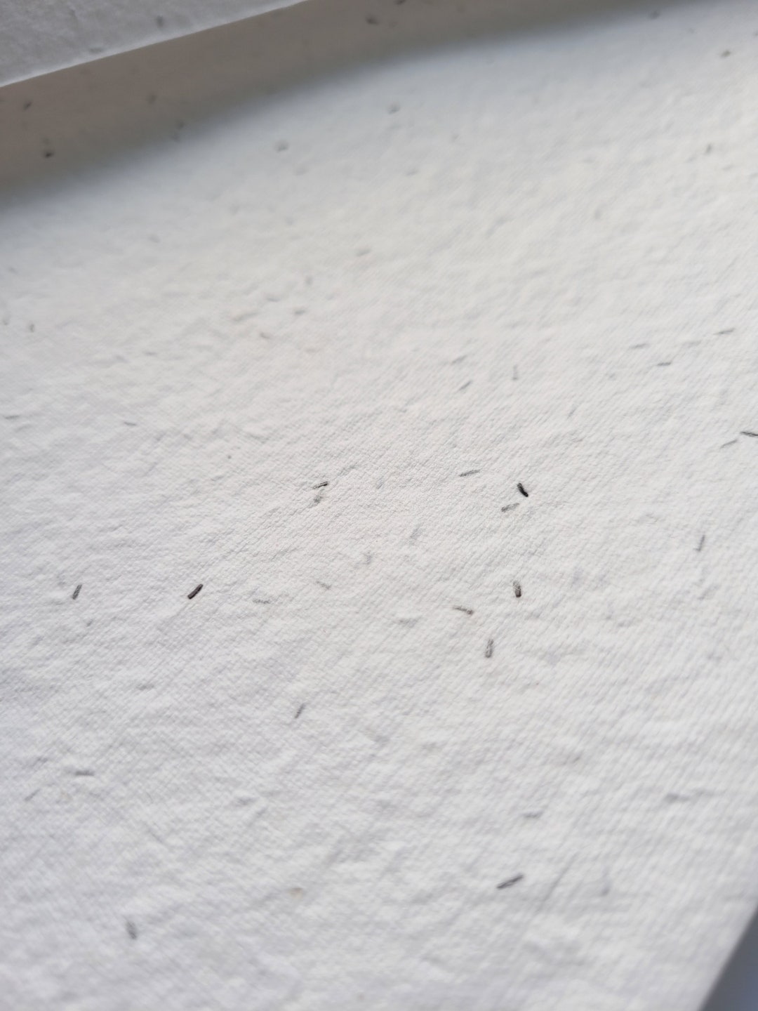 Seed Handmade White Color Paper Card Stock 20" X 30" - A1 Himalayan ...