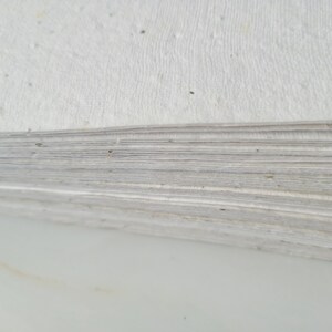 Printable A4 Seed Paper Printer Safe - White Printable Seeded Paper Sheets - 200 GSM Premium ...