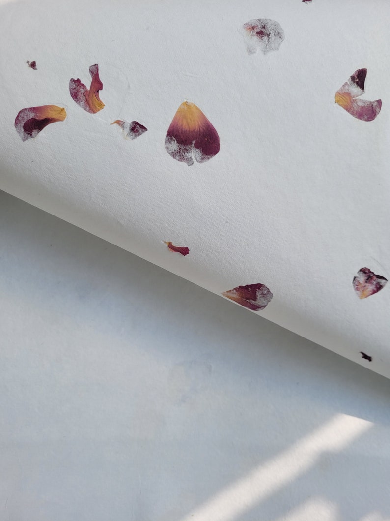 20 X 30 Red Rose Petal Handmade Paper Card Stock - Etsy
