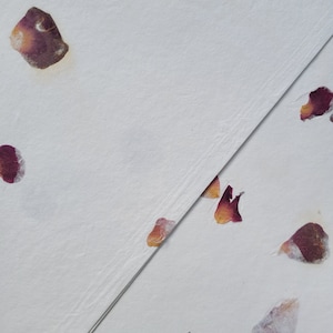20" X 30" Red Rose Petal Handmade Paper Card Stock - A1 Himalayan ...