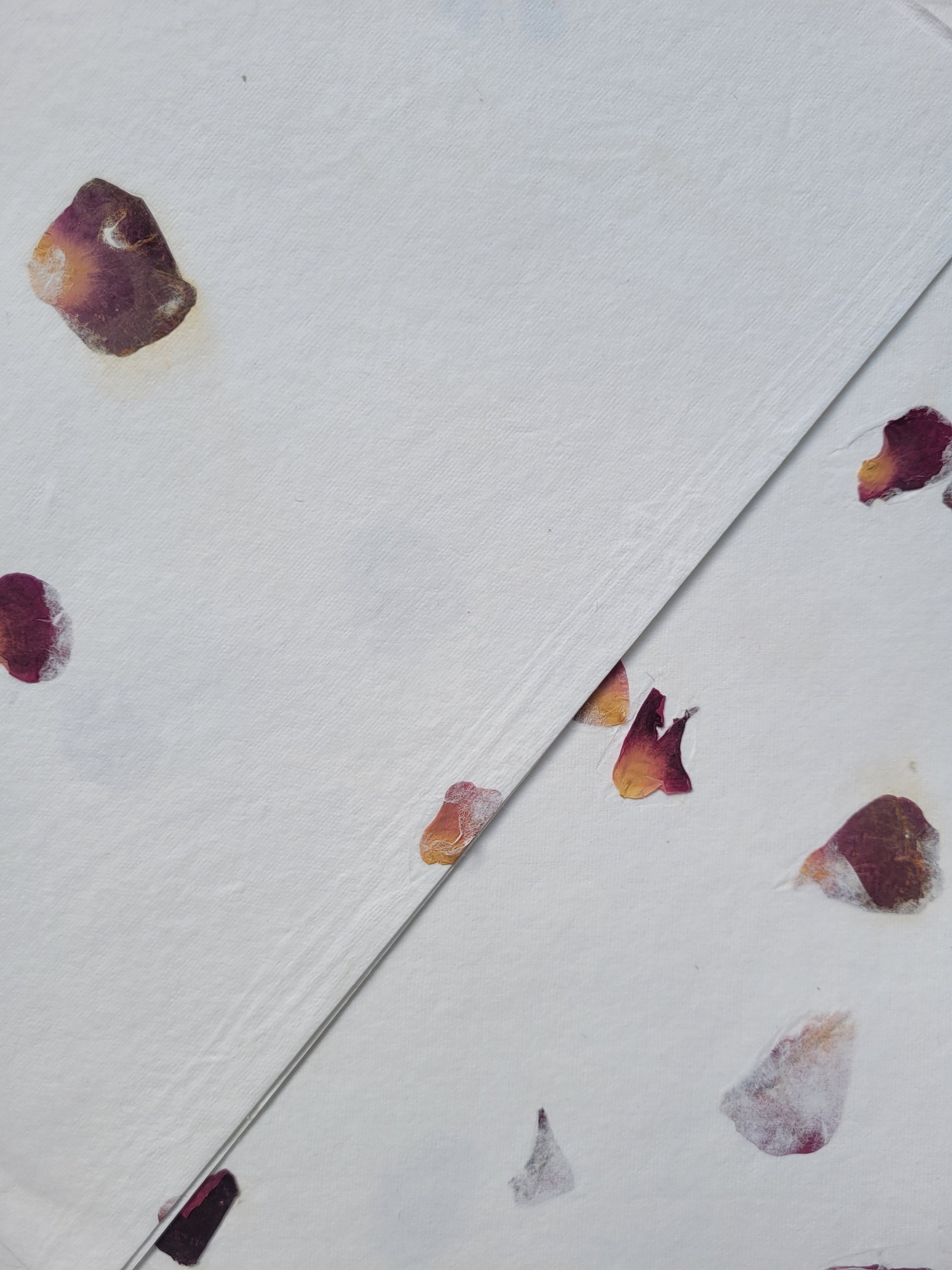 20 X 30 Red Rose Petal Handmade Paper Card Stock - Etsy