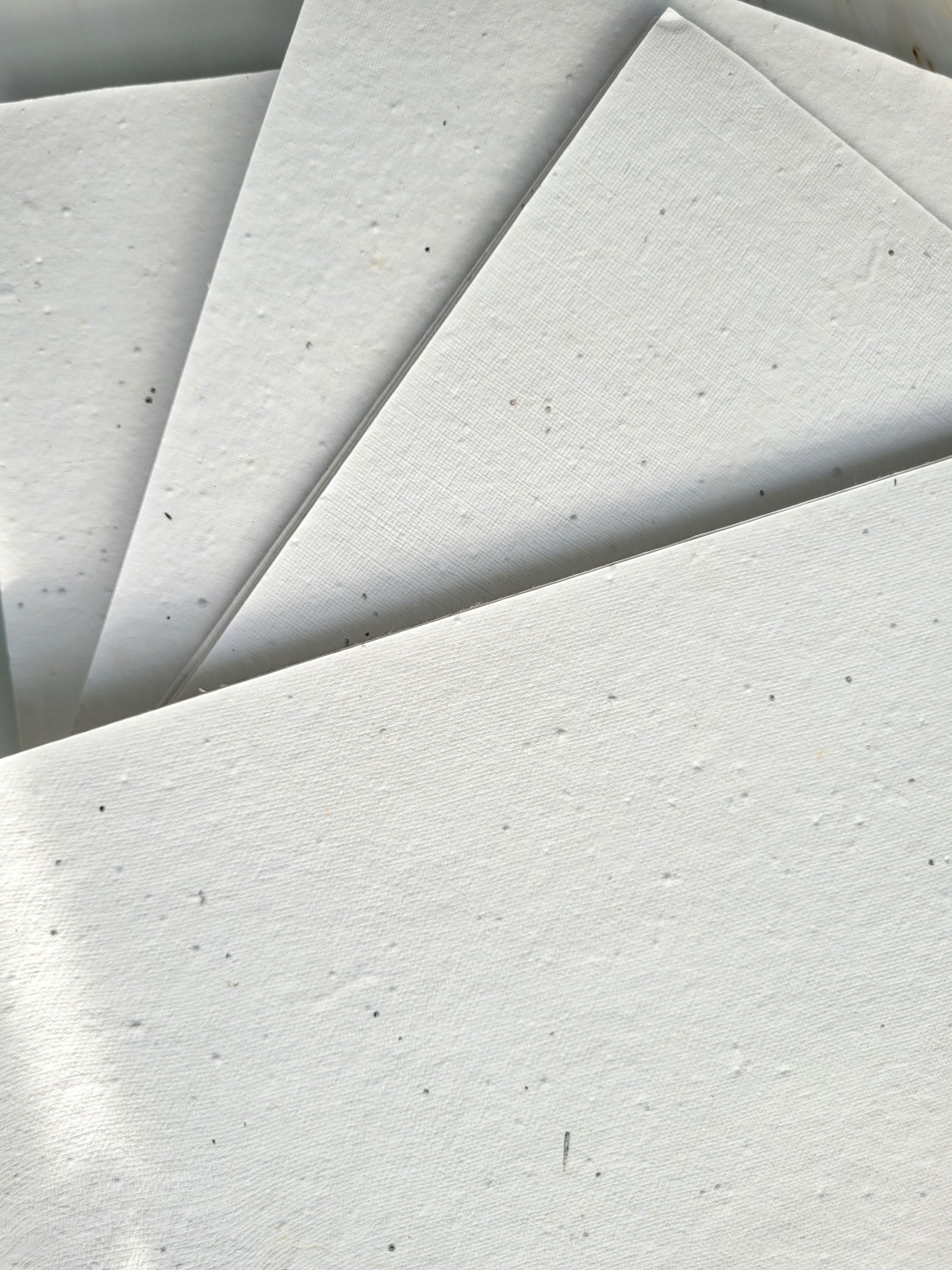 Printable A4 Seed Paper Printer Safe White Printable Seeded - Etsy ...