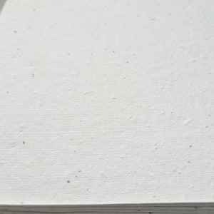 Printable A4 Seed Paper Printer Safe - White Printable Seeded Paper ...