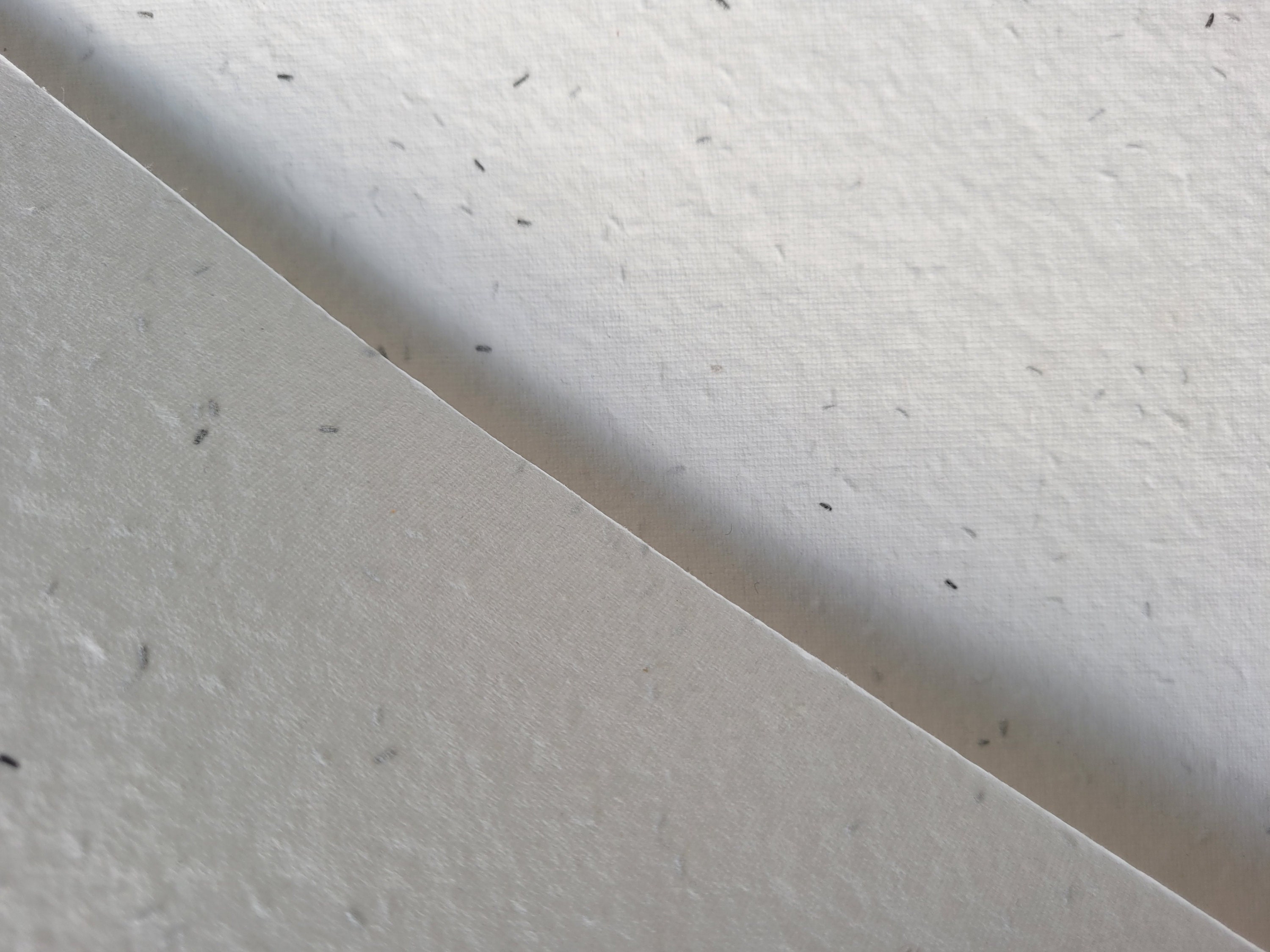 Seed Handmade White Color Paper Card Stock 20 X 30 A1 Himalayan ...