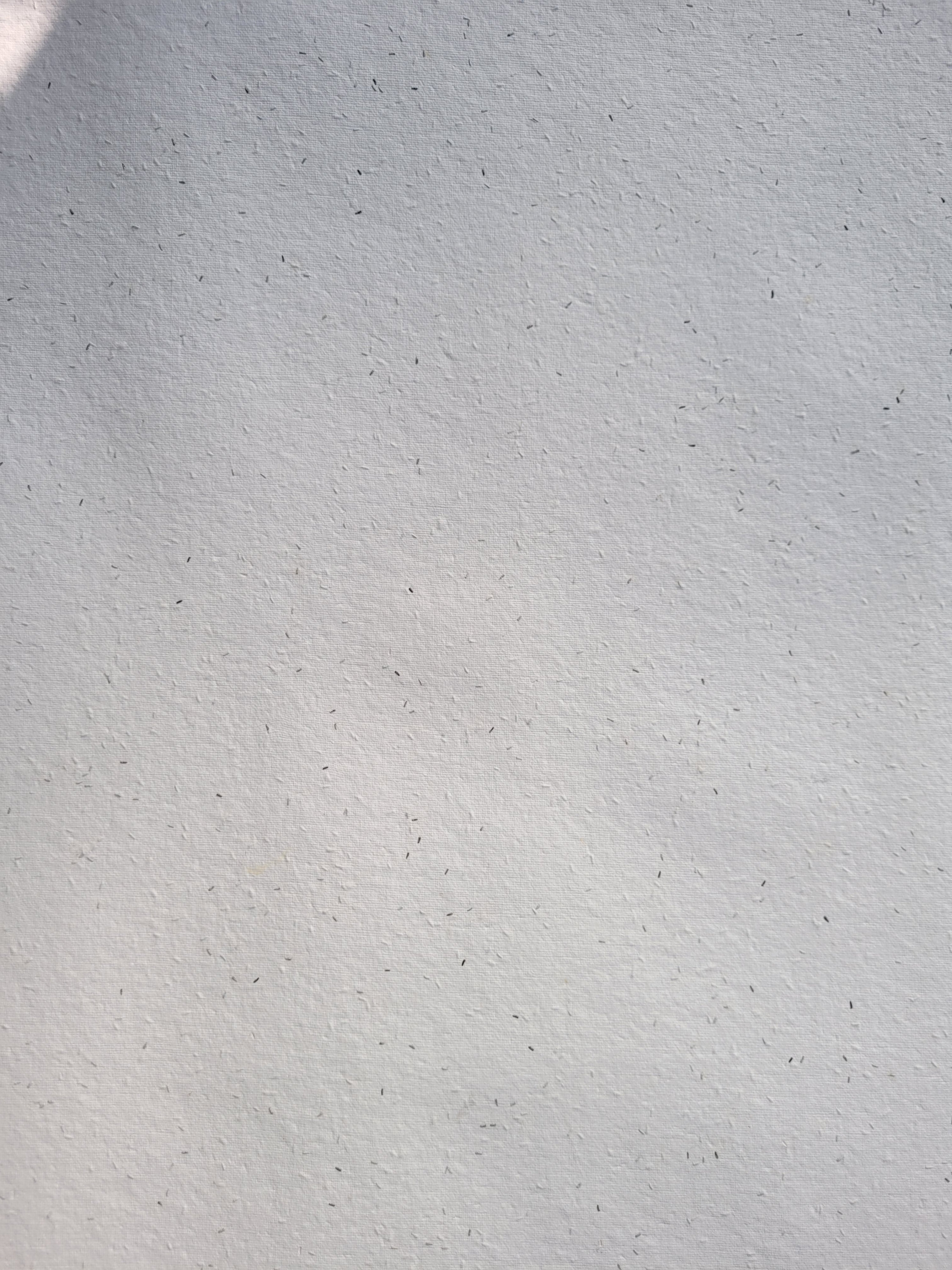 Seed Handmade White Color Paper Card Stock 20 X 30 A1 Himalayan ...