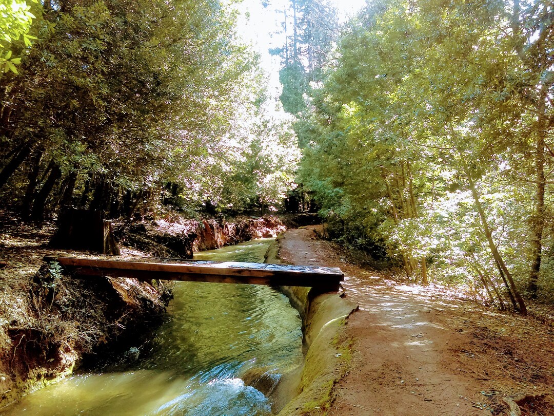 Nature Scene of a Hiking Trail by the Canal & Flumes of Paradise, CA - Etsy