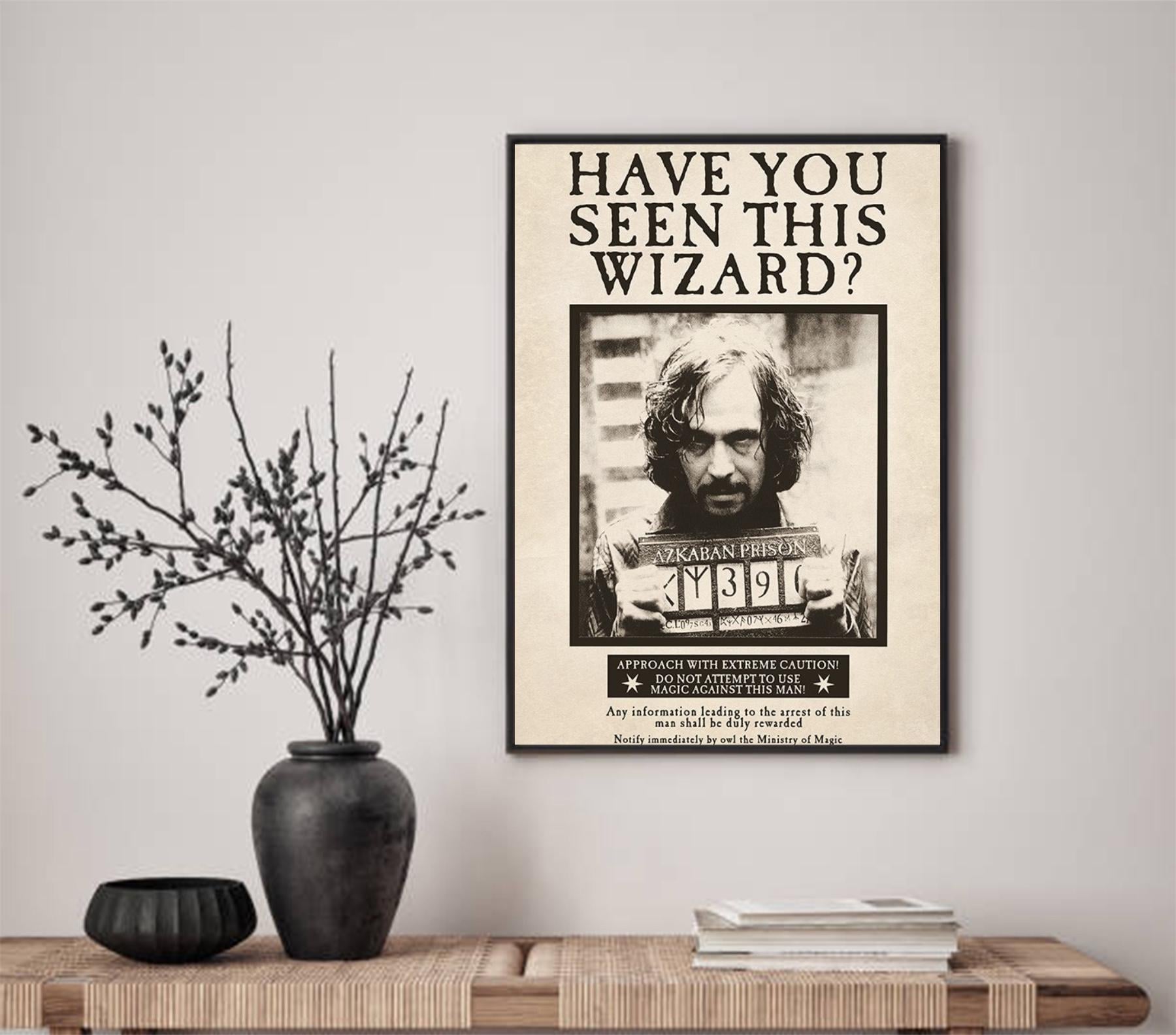 Harry Potter - Sirius Black Poster, Suitable for Home Decoration for Harry Lovers Wall Decor ...