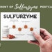 Sulfurzyme Supplement Printable Postcard, Sul4zyme Benefits, Sulfurzyme ...