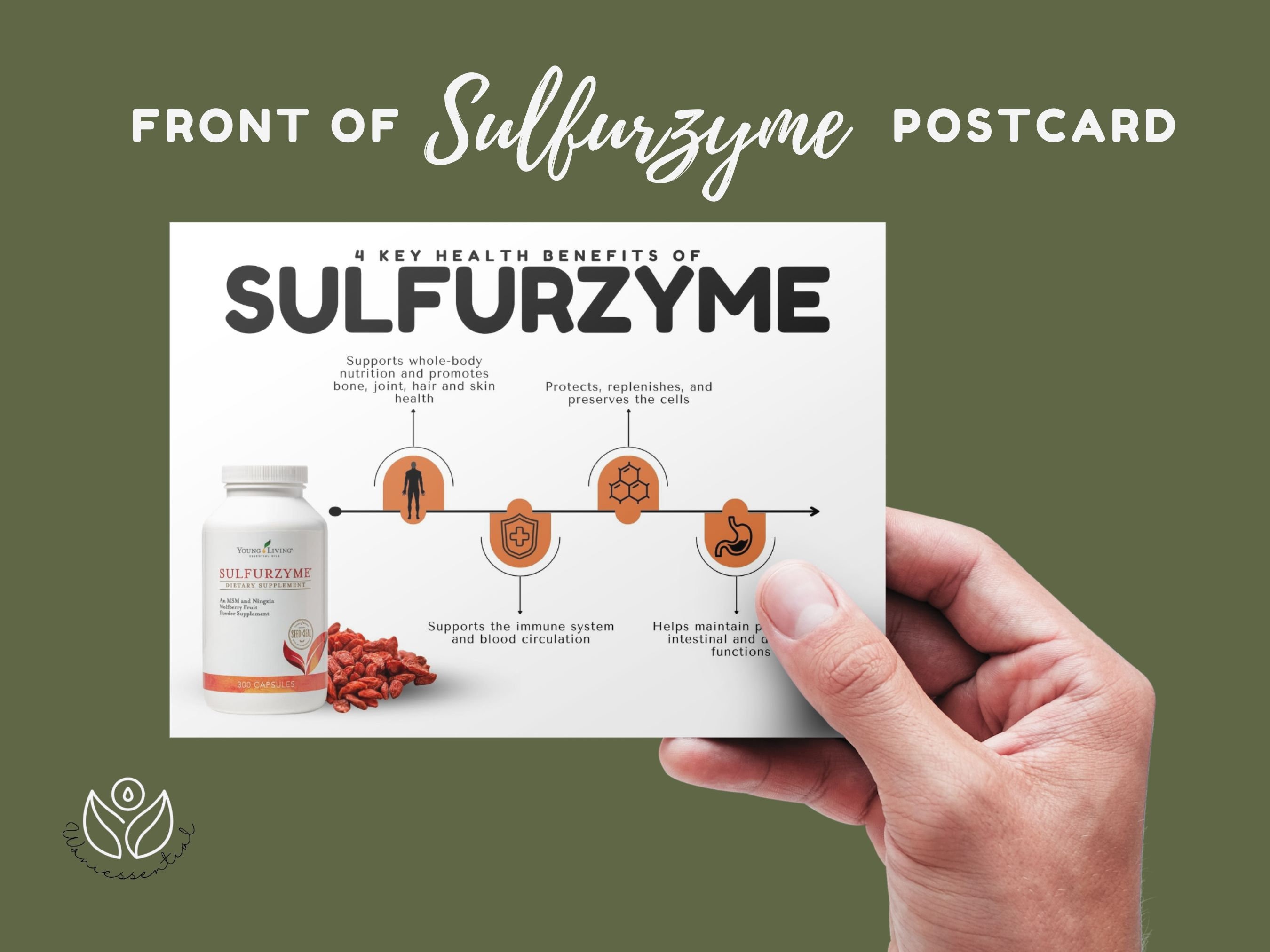 Sulfurzyme Supplement Printable Postcard, Sul4zyme Benefits, Sulfurzyme ...
