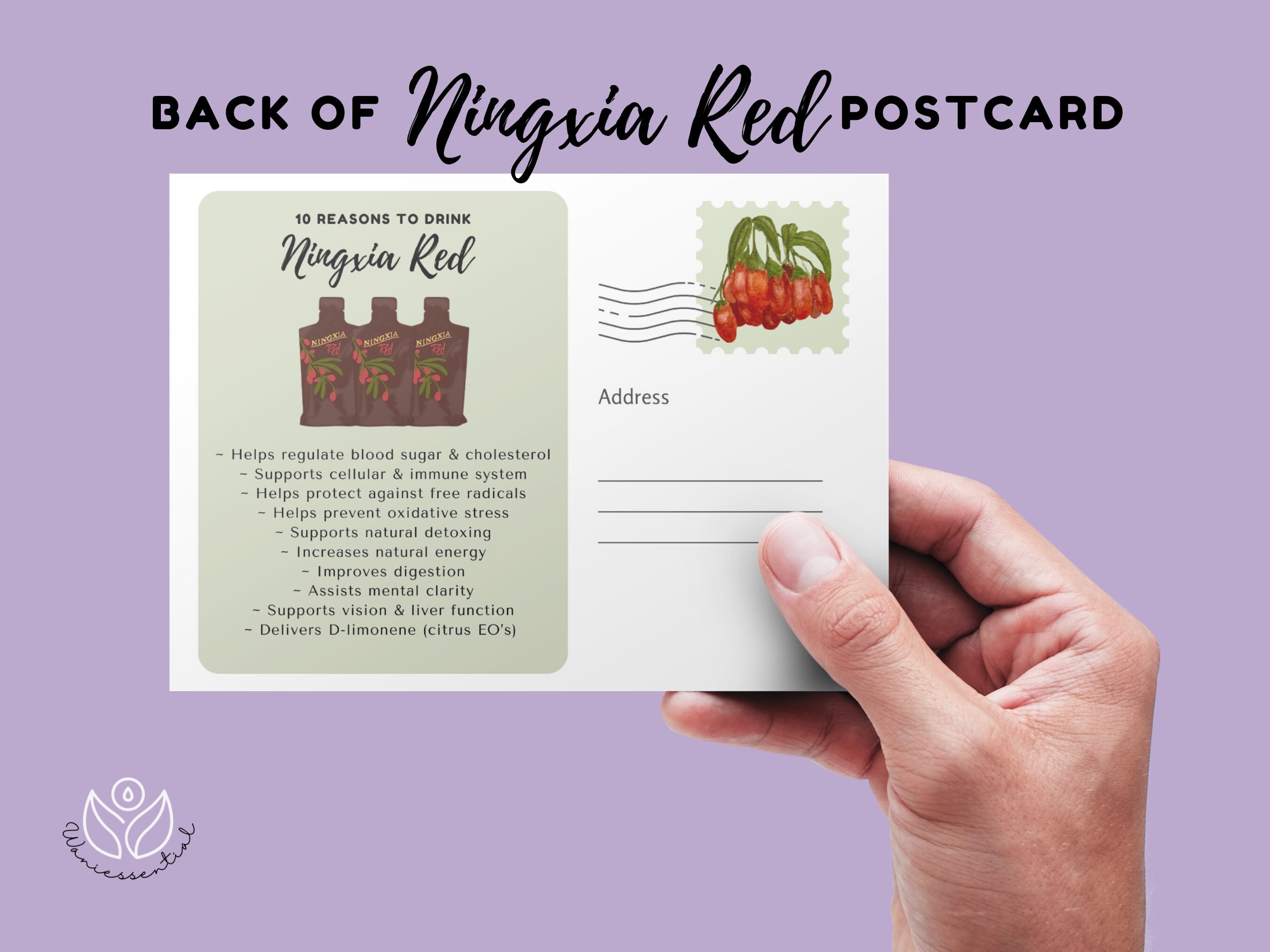 Ningxia Red Printable Postcard | Ningxia Red Recipes | Ningxia Red ...