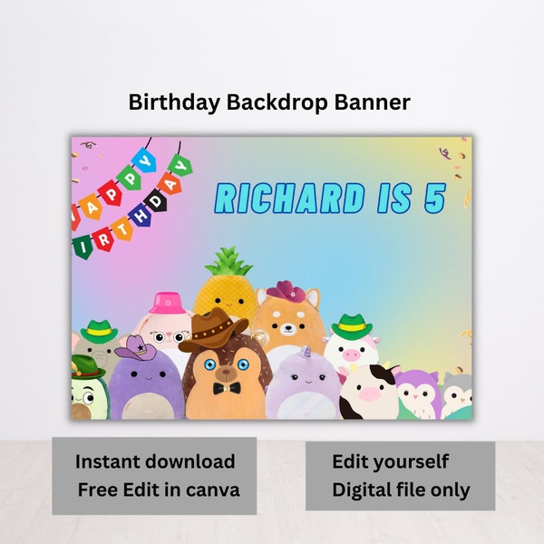 Squishmallow Birthday Backdrop - Etsy