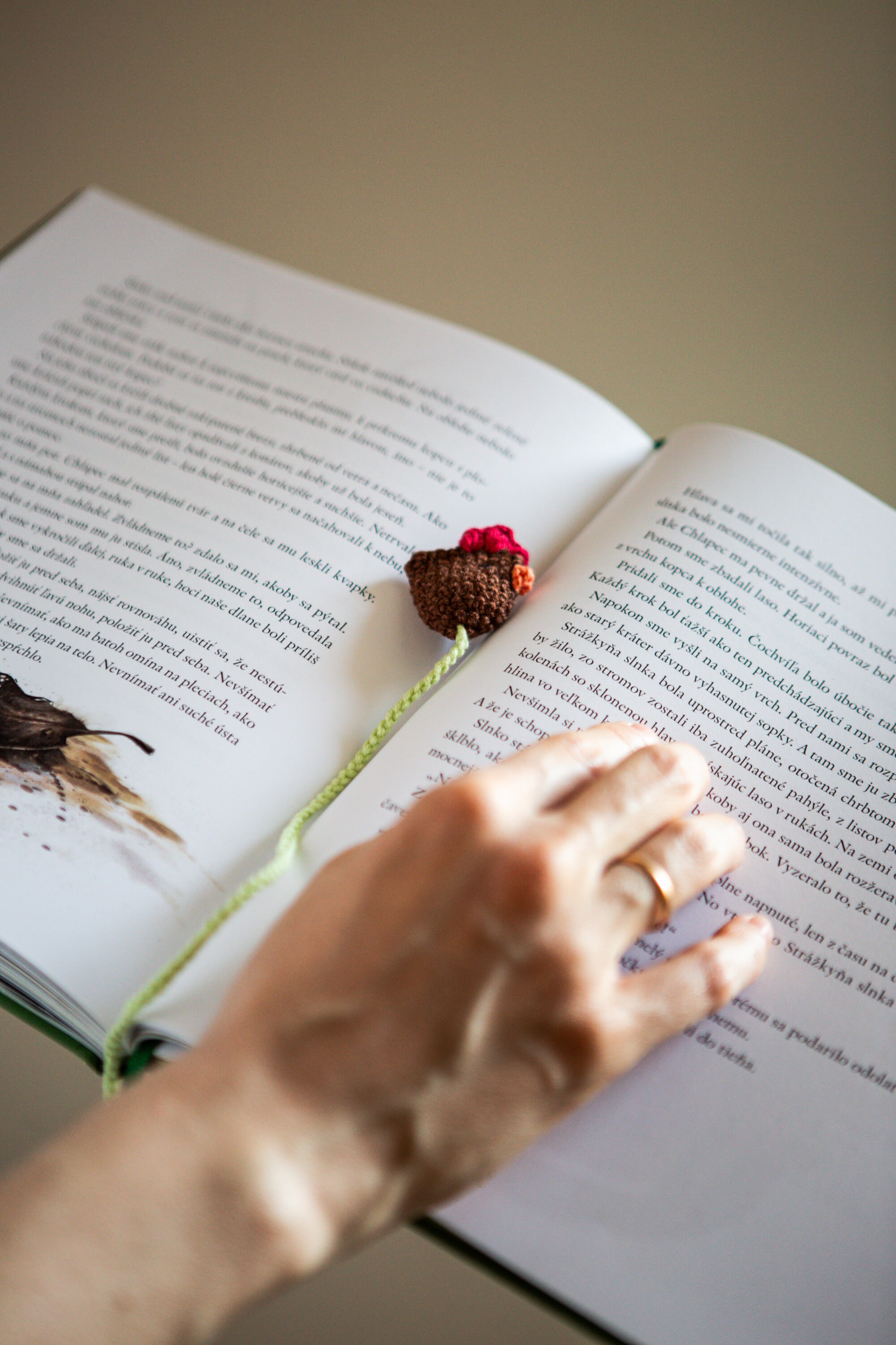 Hen Bookmark, Unique Book Lover Gift - Etsy