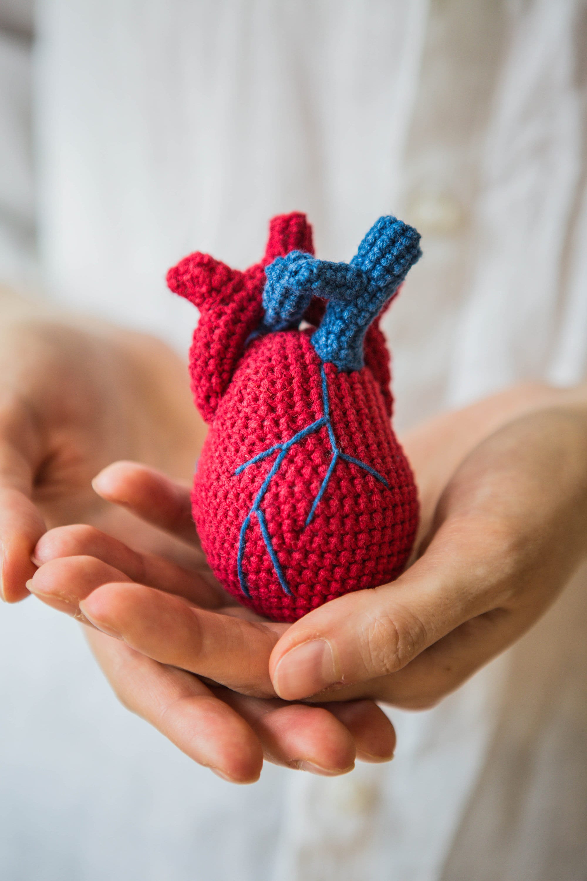 Anatomical Heart. Medical Toy. Human Heart. - Etsy