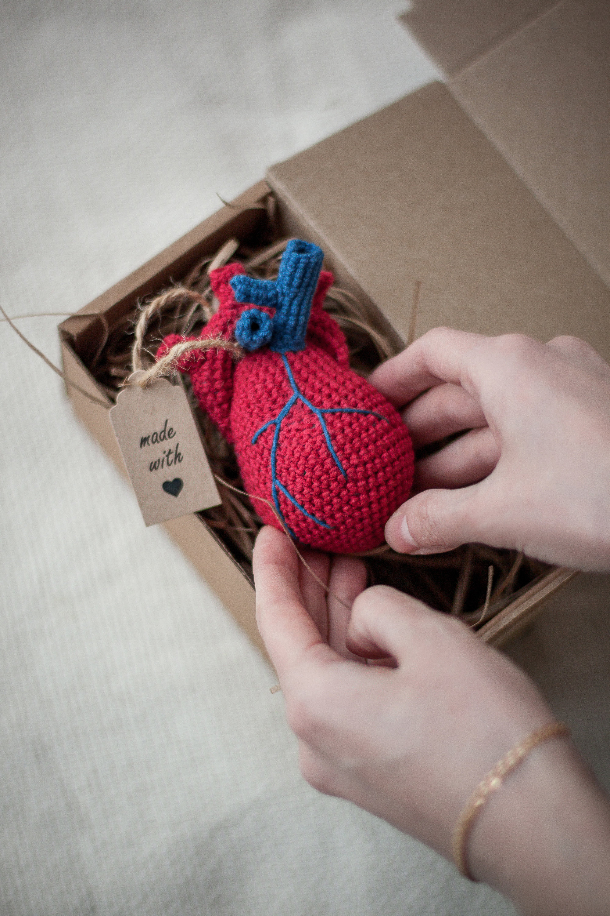 Anatomical Heart. Medical Toy. Human Heart. - Etsy