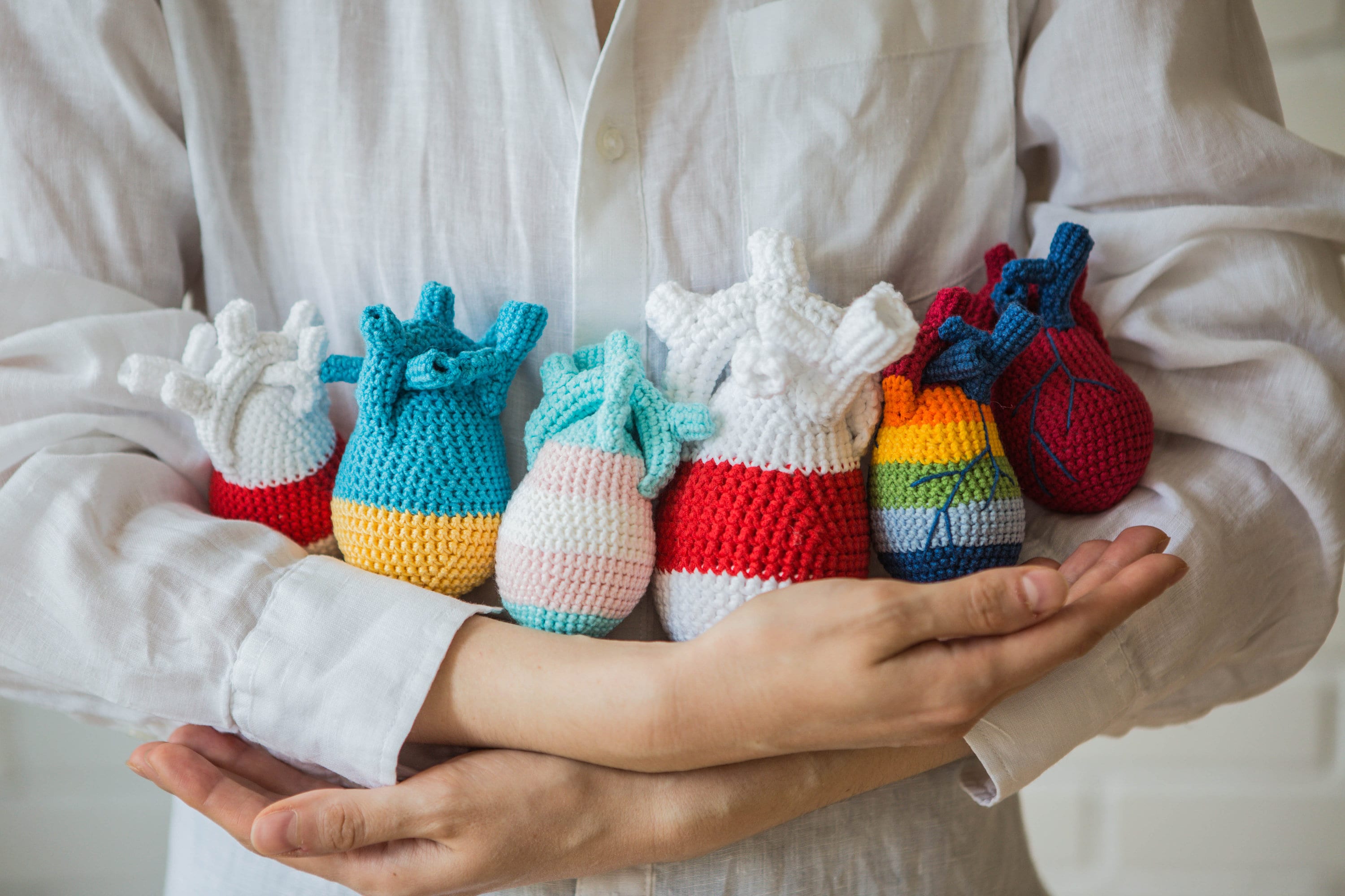 Anatomical Heart. Medical Toy. Human Heart. - Etsy