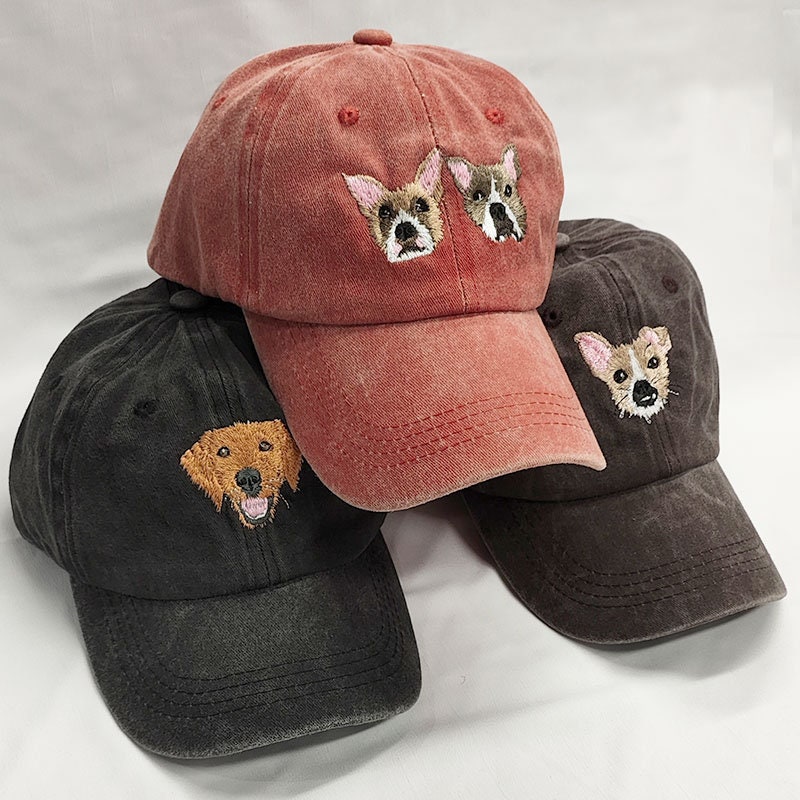 Hat for Dog - Etsy