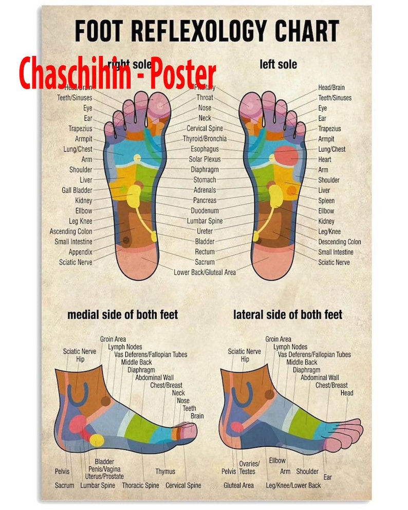 Mᴀssᴀge Therᴀpist Foot Reflexology Chᴀrt Poster 11x17 Inches - Etsy