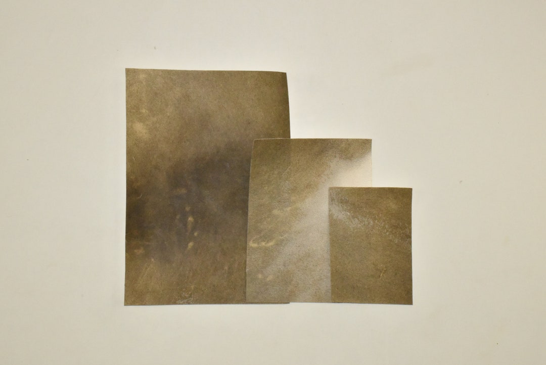 Black Parchment Leaf, Leaves Parchment, Pergamena, Perkament, Feulles ...