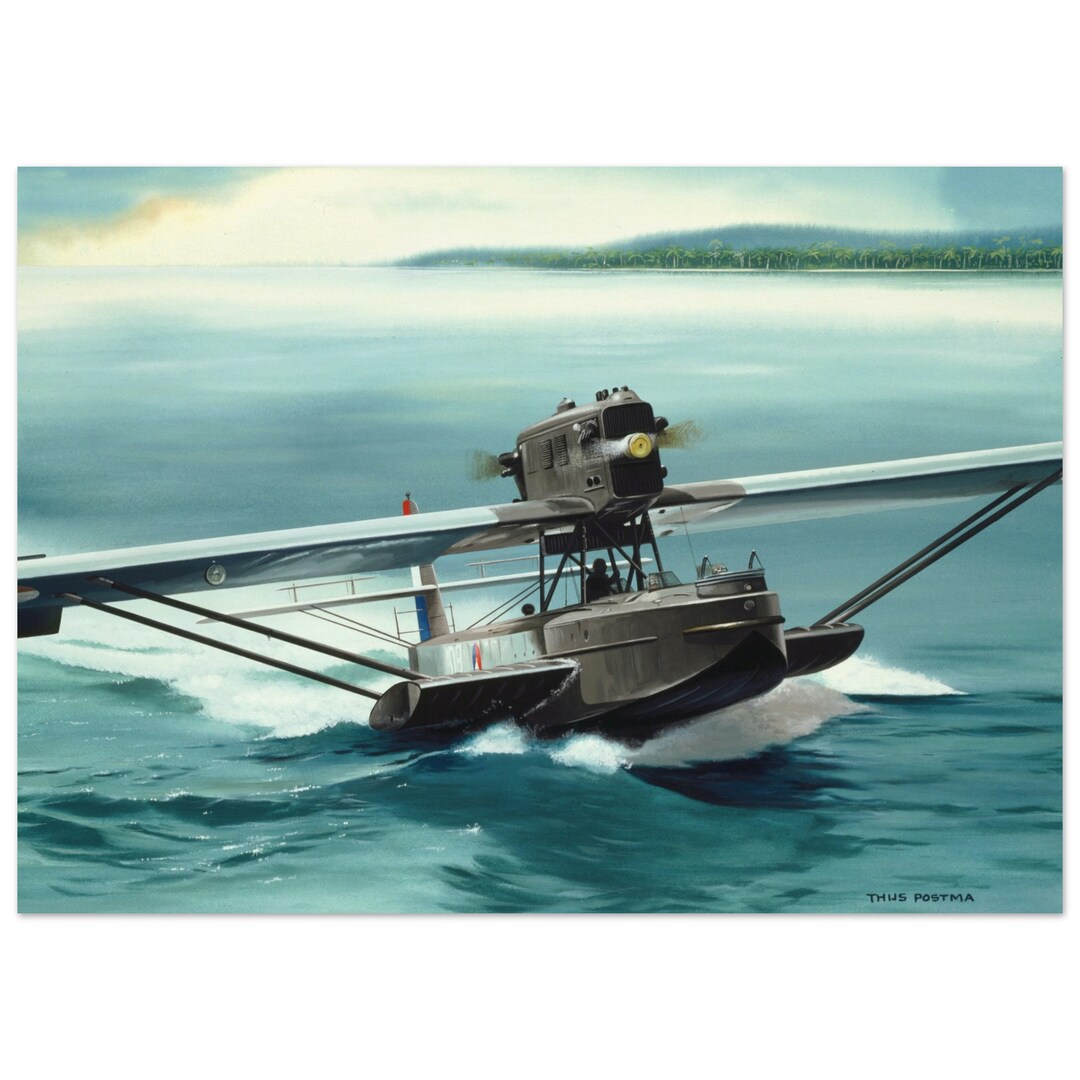 Thijs Postma - Poster - Dornier Do J Wal MLD - Etsy