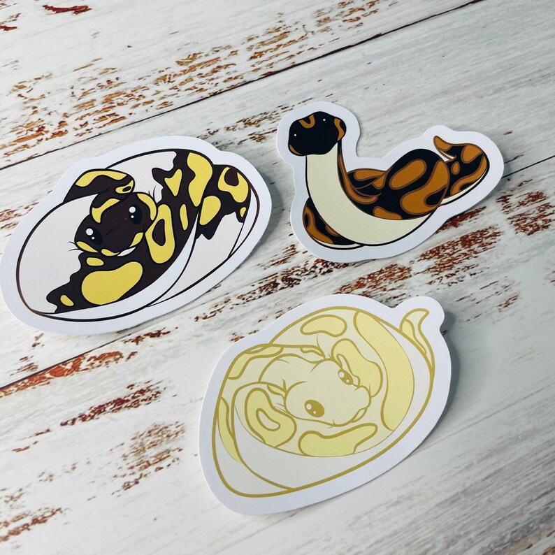 Ball Python Sticker Pack - Etsy