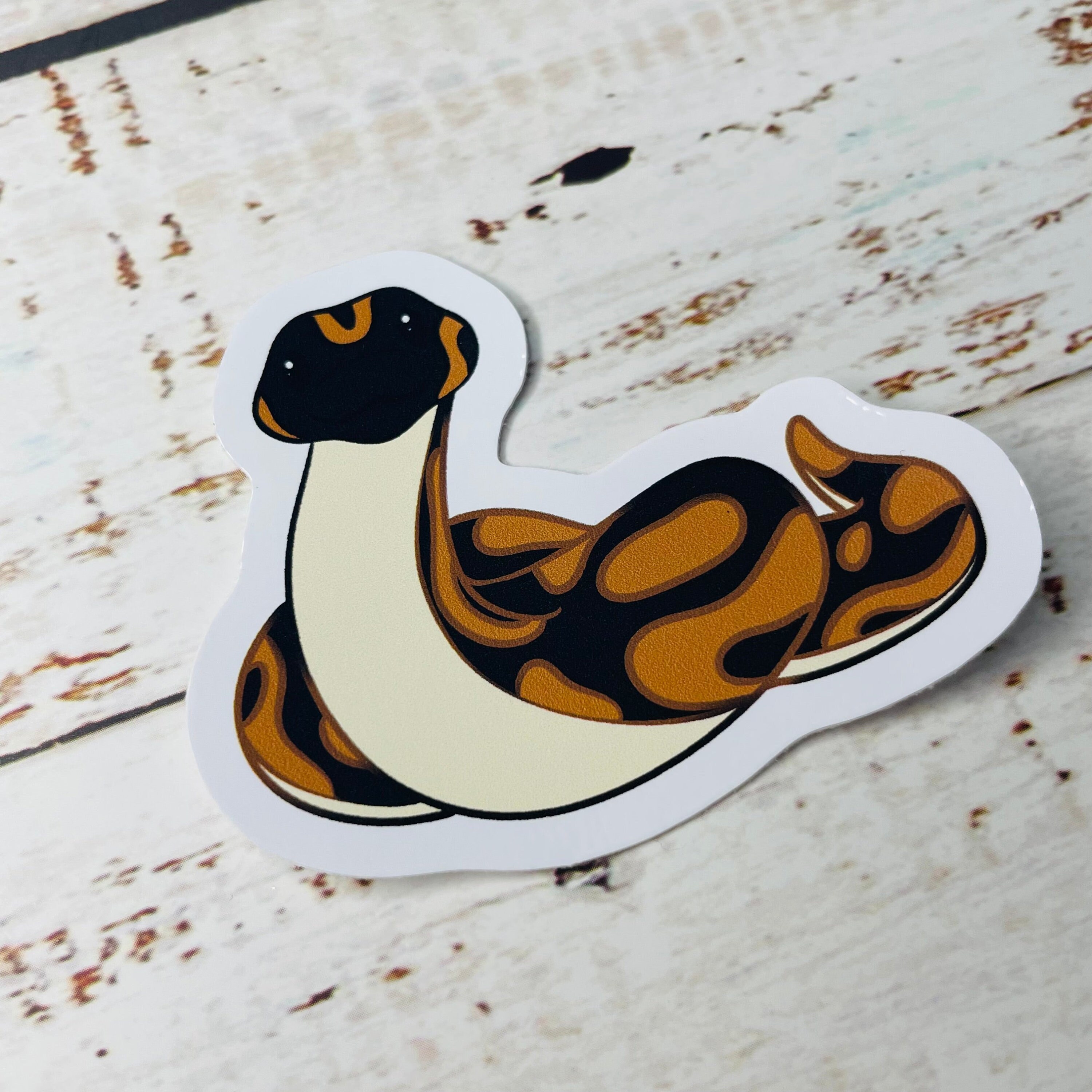 Ball Python Sticker Pack - Etsy