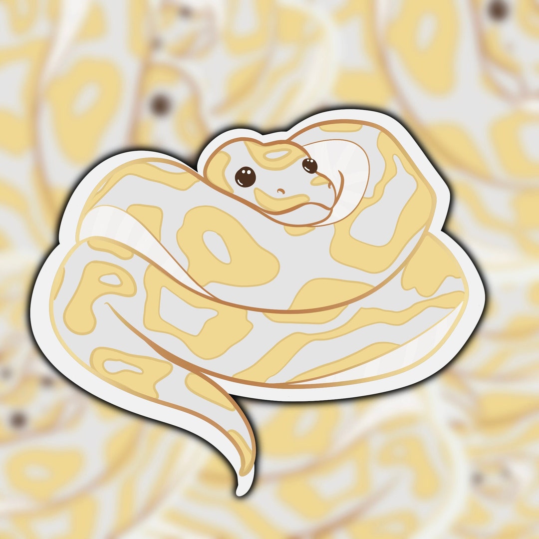 STICKER: Large Banana Ball Python Aesthetic Stickers Snake - Etsy