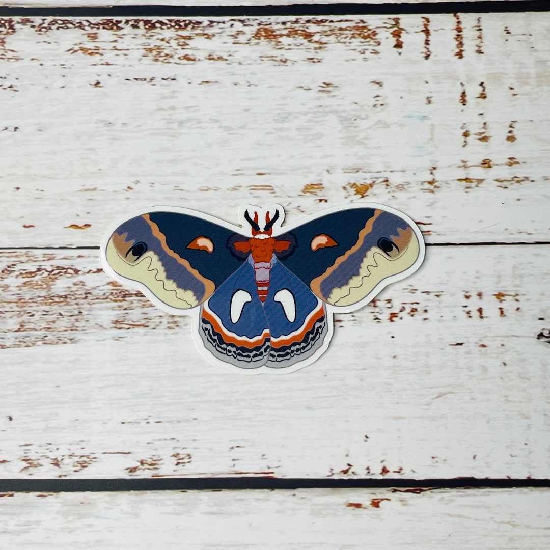 STICKER: Cecropia Moth Stickers, Sticker, Insect Sticker, Moth Sticker ...