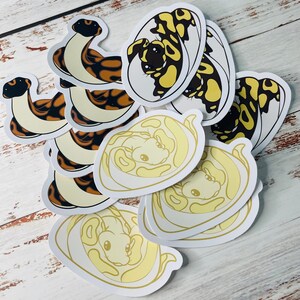 Ball Python Sticker Pack - Etsy