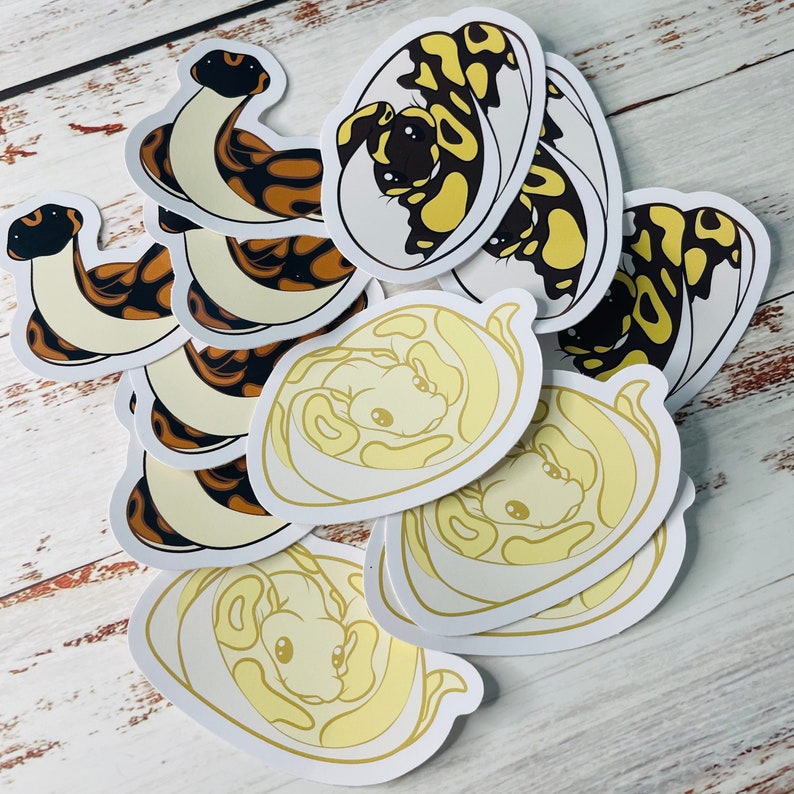 Ball Python Sticker Pack - Etsy