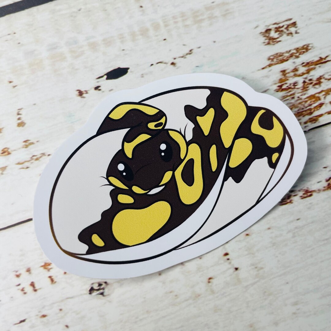 STICKER: Small Pie Bald Ball Python Aesthetic Stickers Snake - Etsy