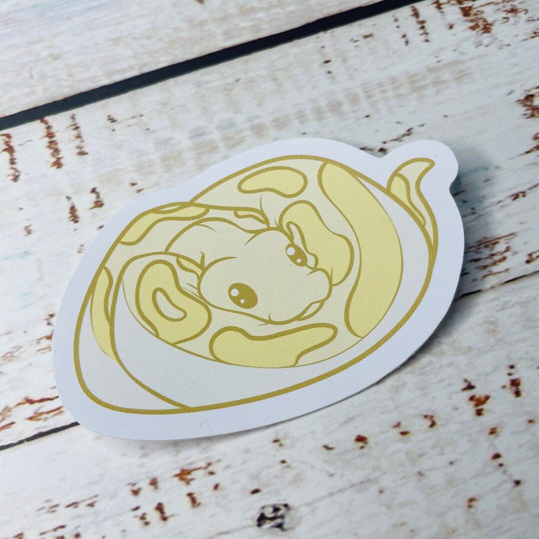 STICKER: Small Banana Ball Python Aesthetic Stickers, Snake Sticker ...