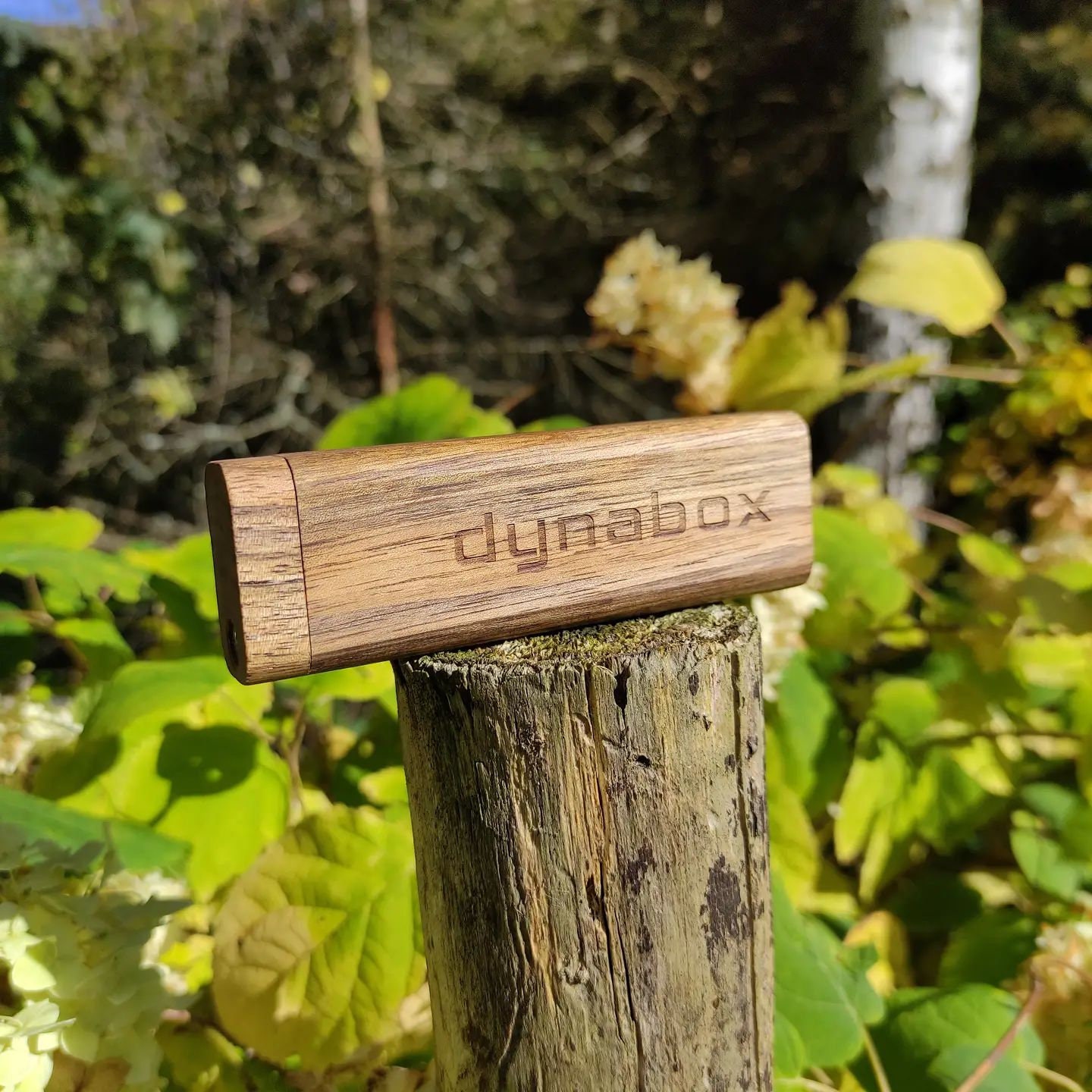 Dynabox Wood Case Walnut for Dynavap Vapcap - Etsy