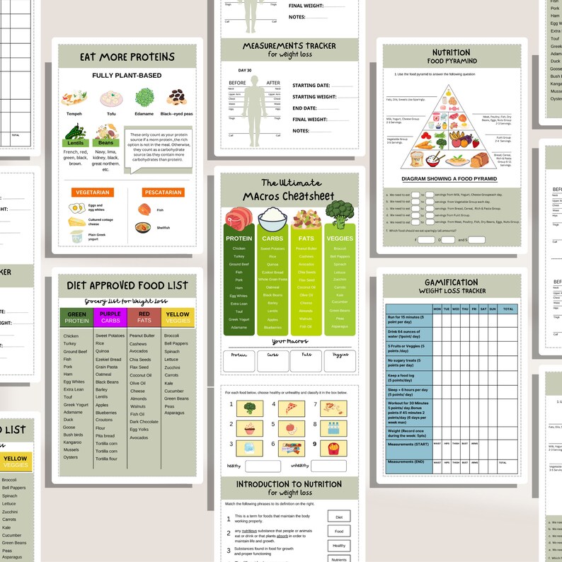 Diet Plan for Weight Loss Workbook | Printable Coaching Content for ...