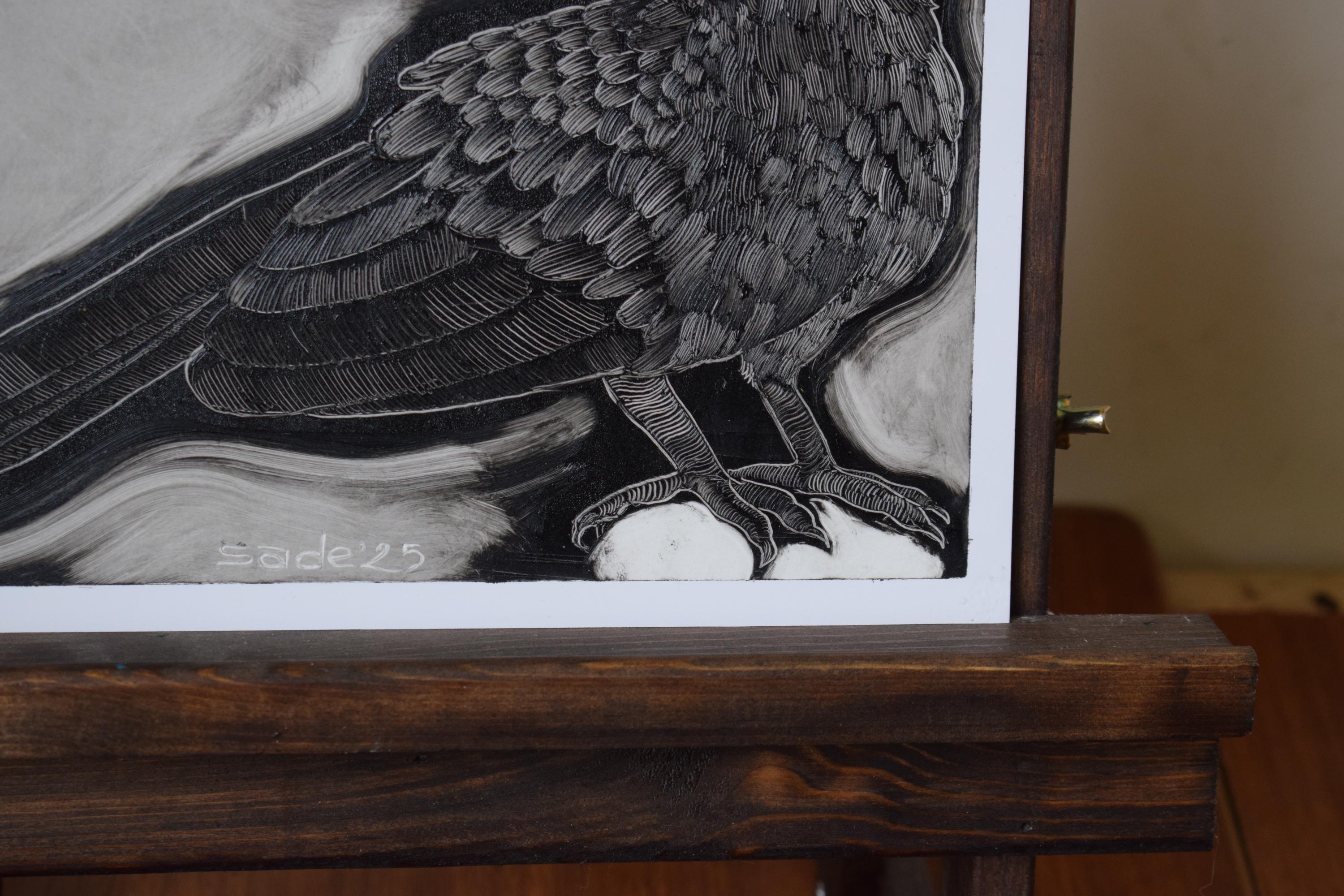 Smooth-billed Ani Art: Original Ink Drawing, Subtractive Technique - Etsy