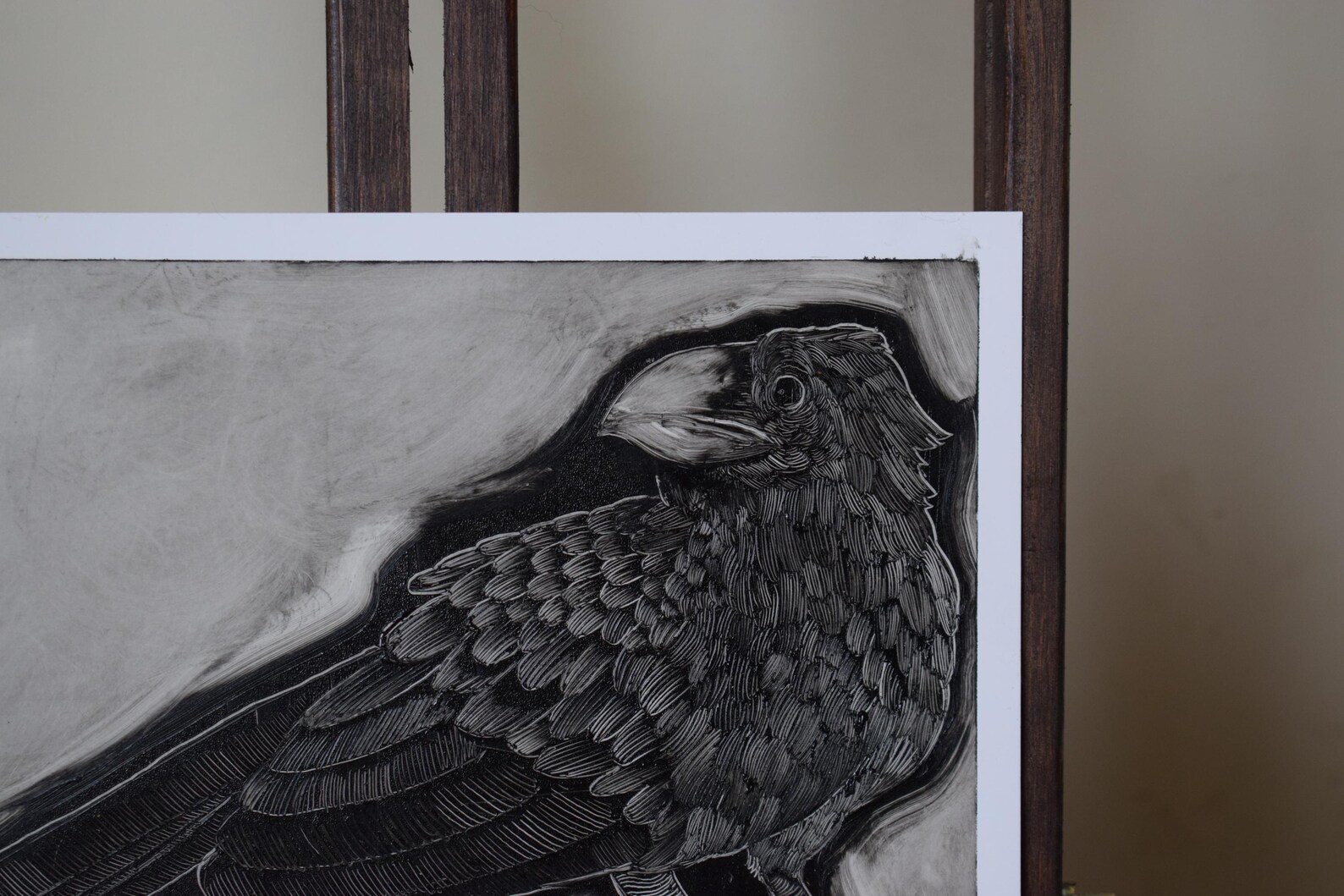 Smooth-billed Ani Art: Original Ink Drawing, Subtractive Technique - Etsy