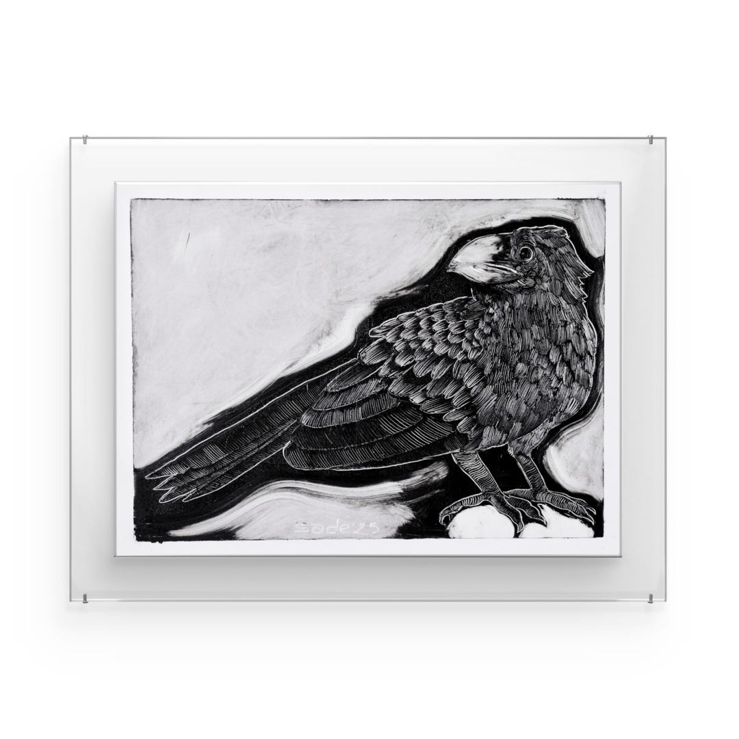 Smooth-billed Ani Art: Original Ink Drawing, Subtractive Technique - Etsy
