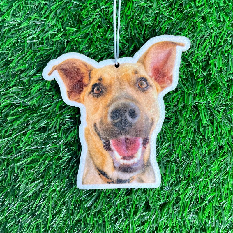 Funny Car Diffuser - Etsy