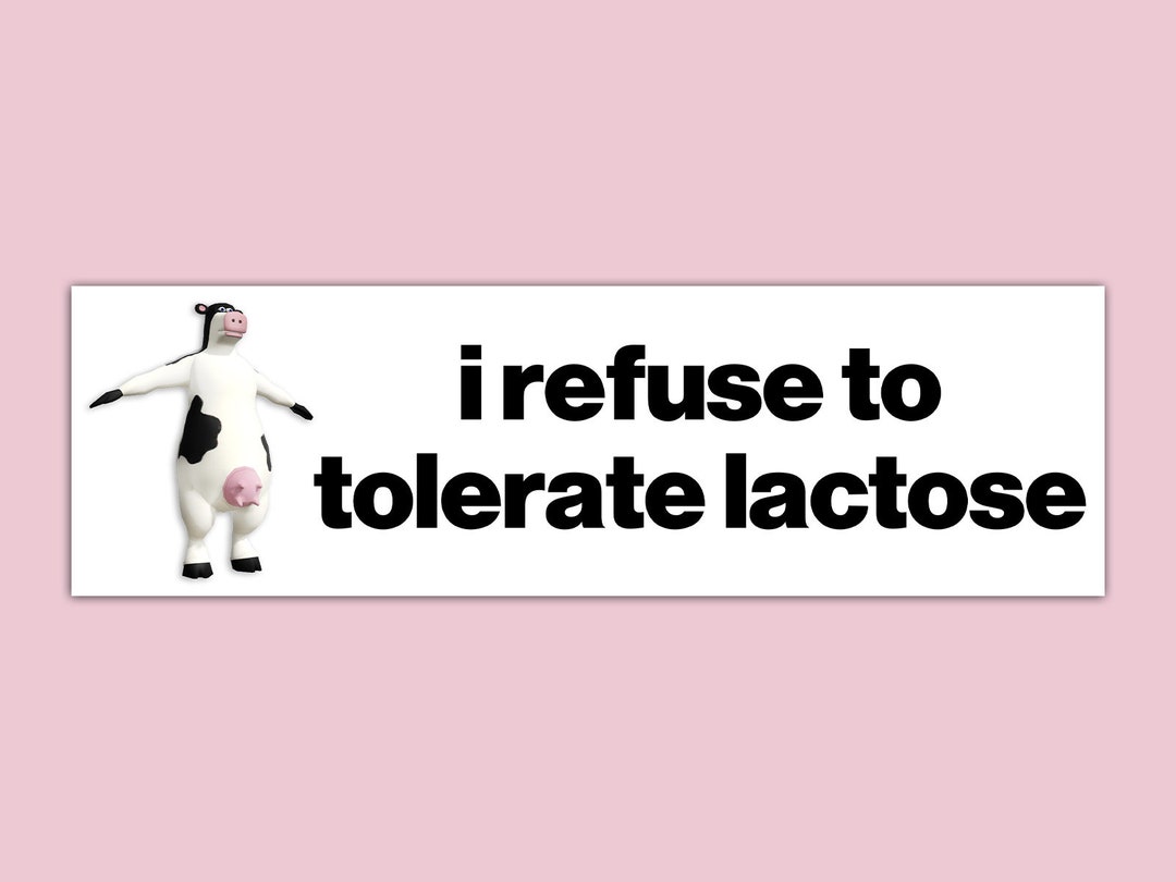 I Refuse to Tolerate Lactose Funny Unhinged Gen Z Meme Bumper Sticker ...